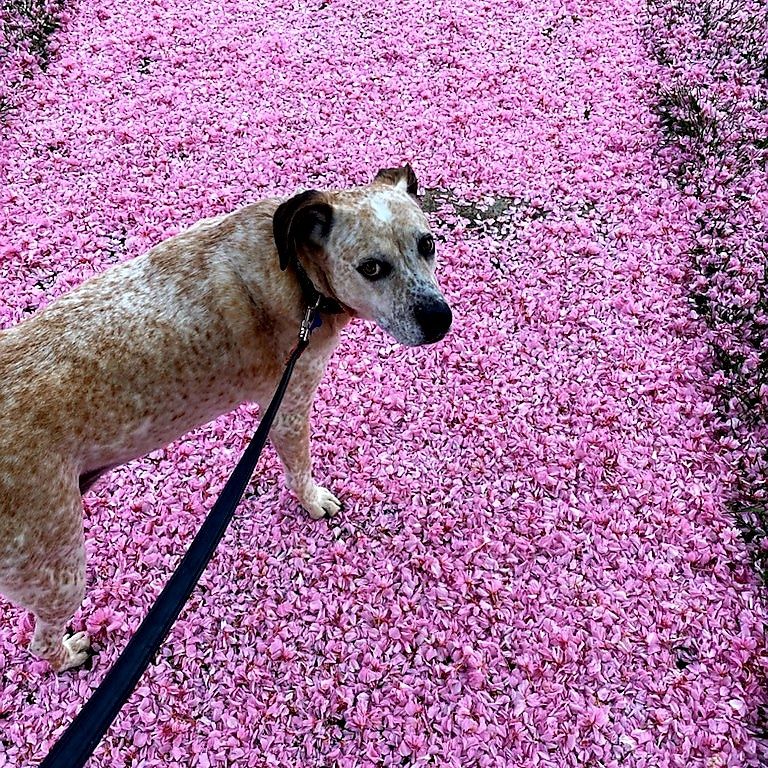 Chuck feeling the romance. | Scrolller