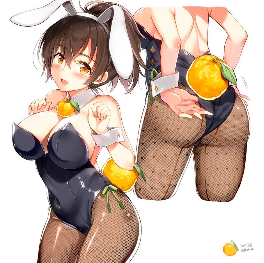Thicc Bunny | Scrolller