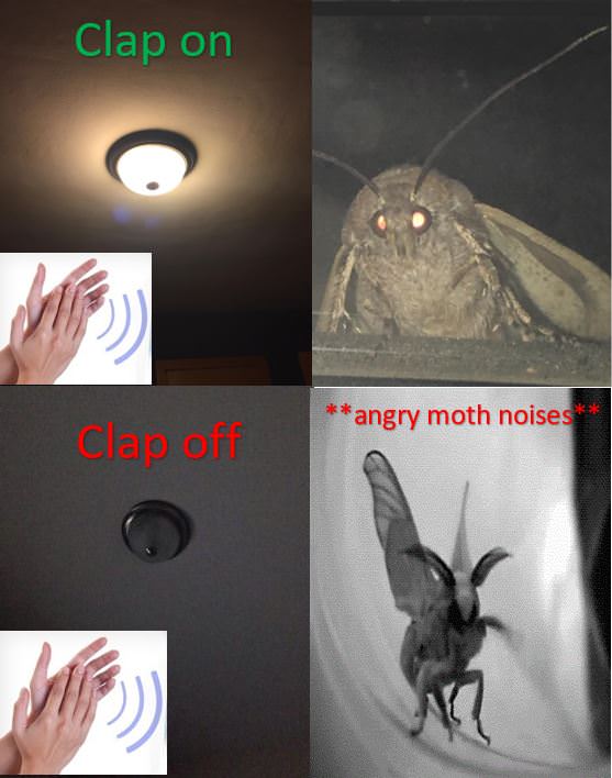 Clap Clap | Scrolller