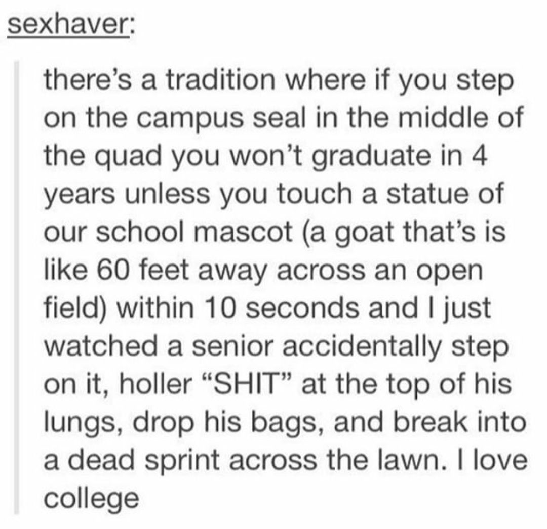 classic WPI reference on r/tumblr | Scrolller