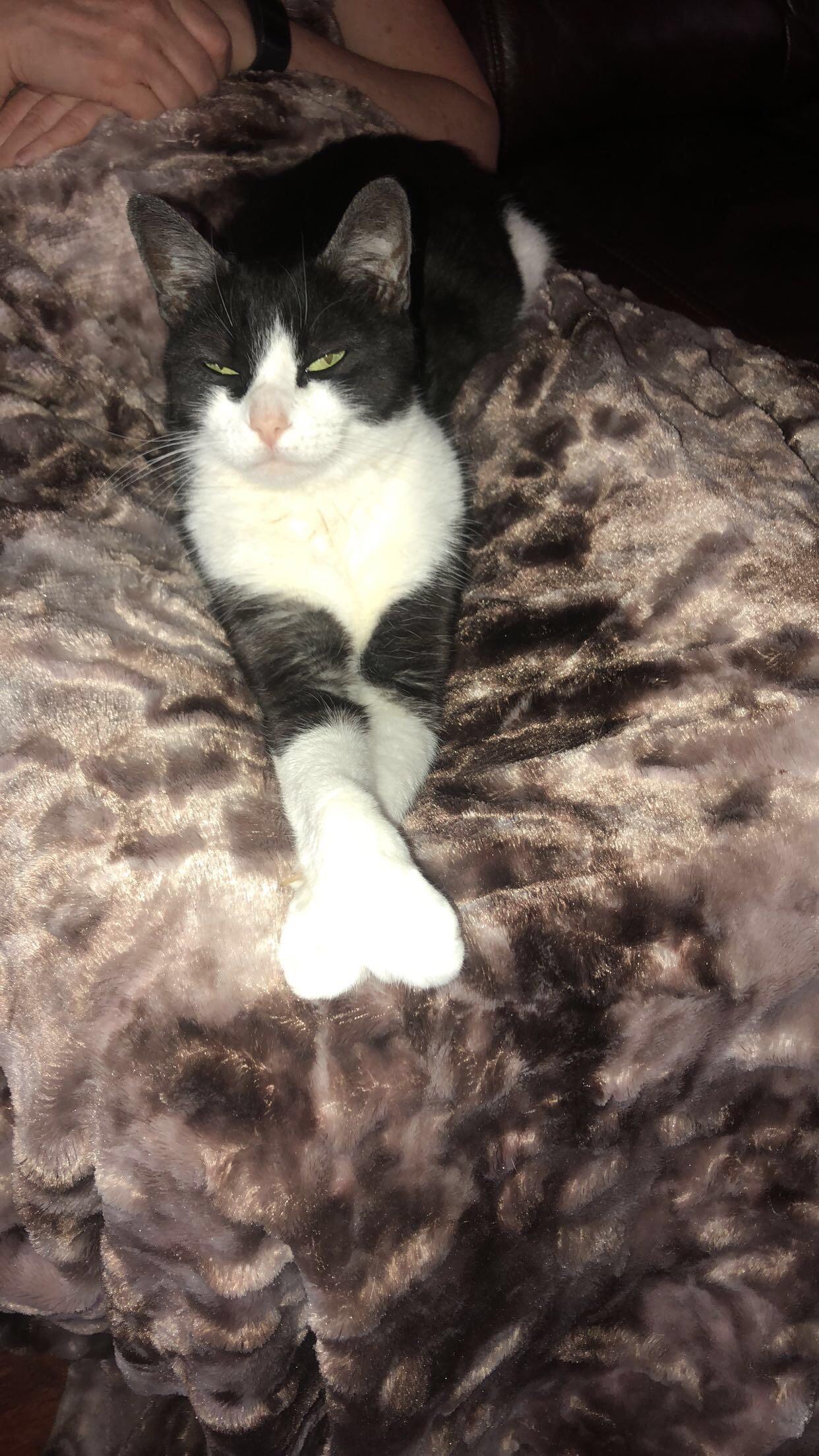 Classy feetsies | Scrolller