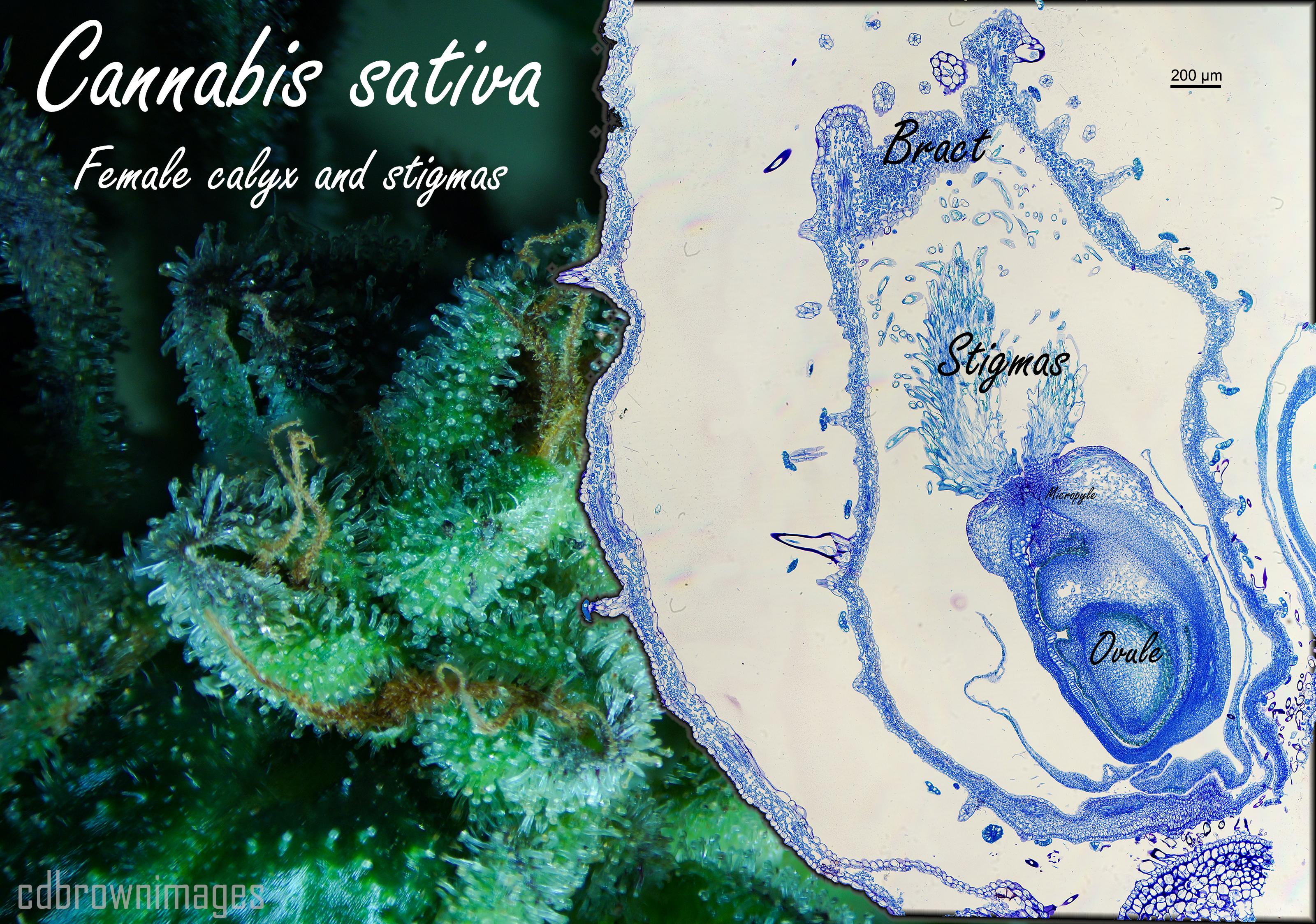 Close and closer | Scrolller