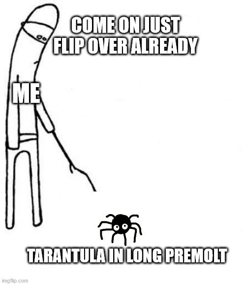 C'mon Do Something | Scrolller