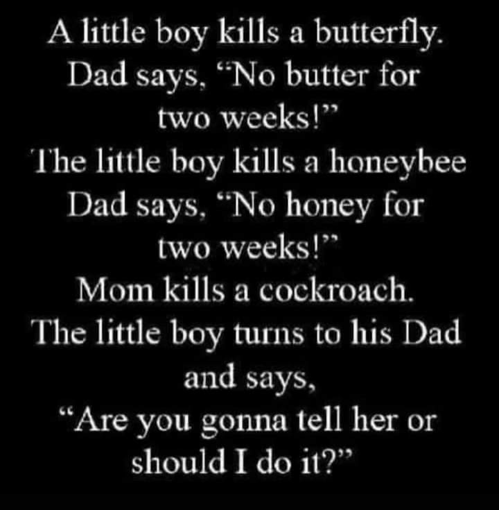 Cockroach | Scrolller