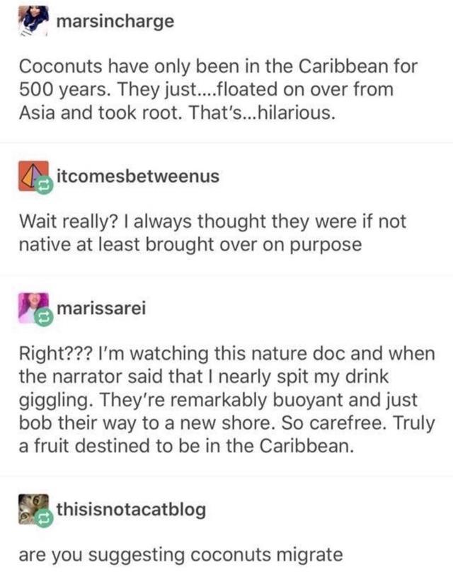 Coco migration confirmed. | Scrolller