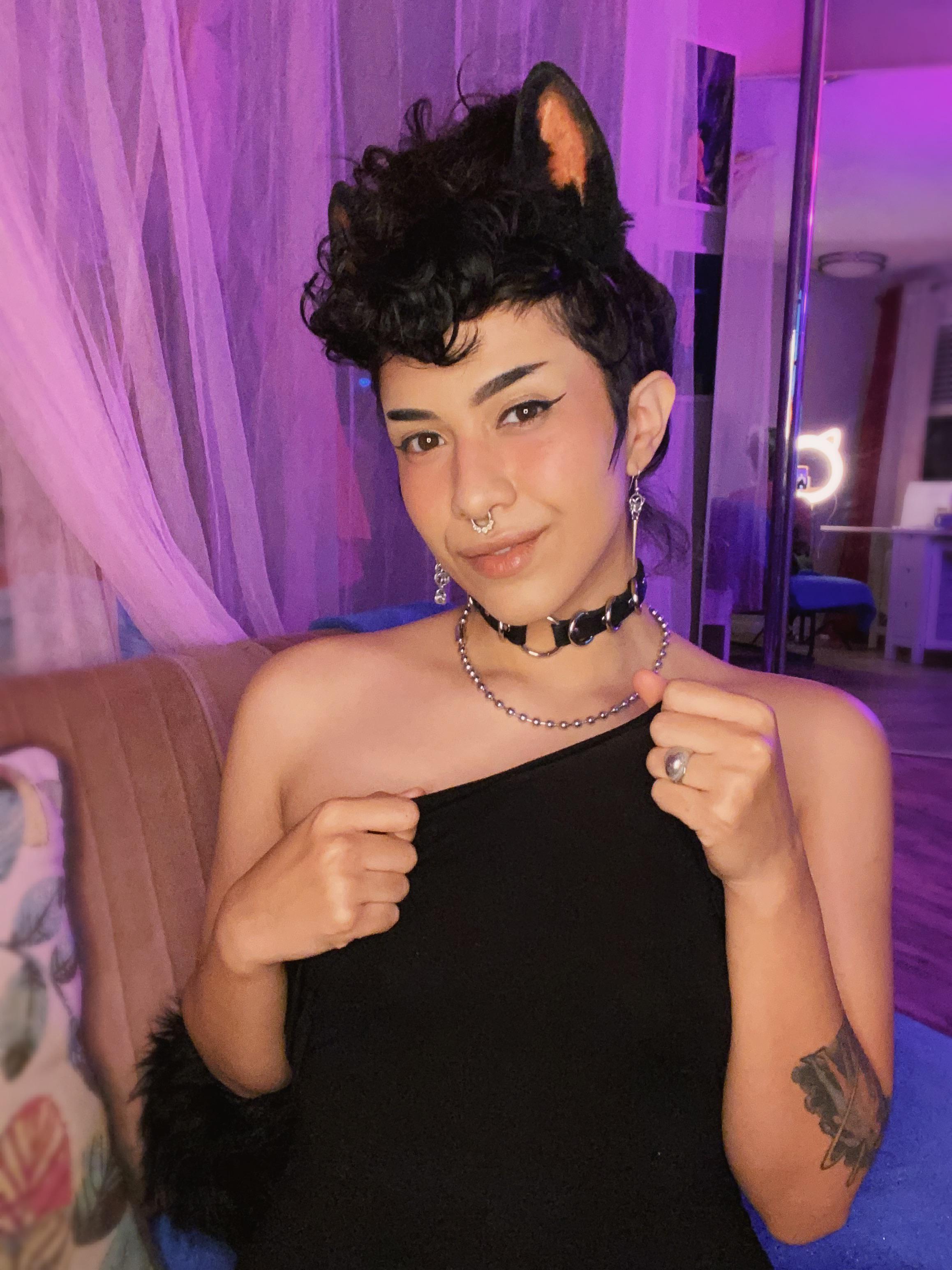 💜🖤⛓ Collared Cat ⛓🖤💜 | Scrolller