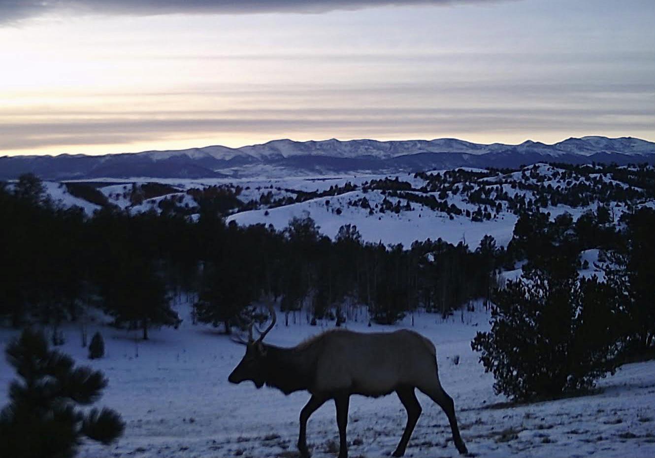 Colorado | Scrolller