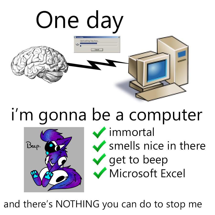 Computer_irl | Scrolller
