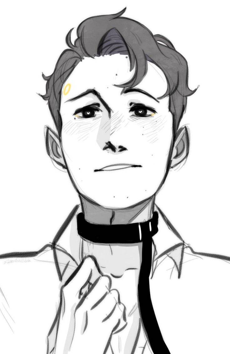 Connor has embraced the bliss on being on the leash ^^ | Scrolller