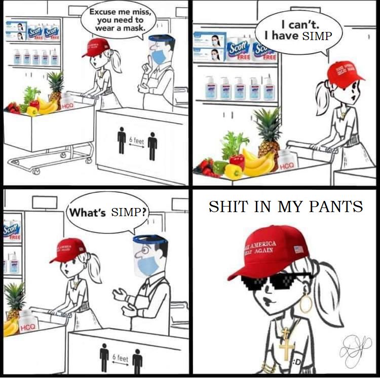 Conservative intellectual dominance destroys Libtard coronavirus | Scrolller