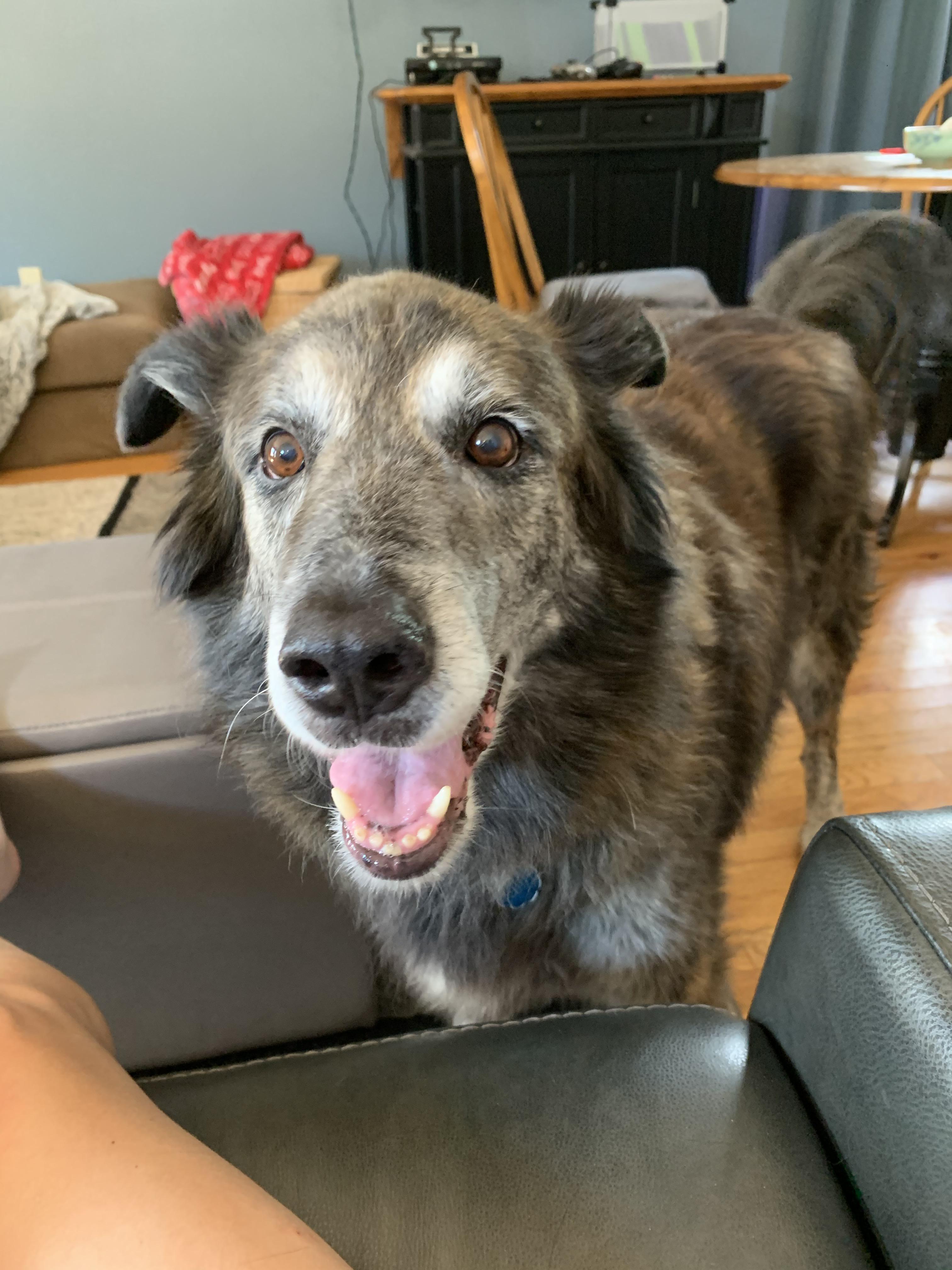 constant surprise | Scrolller