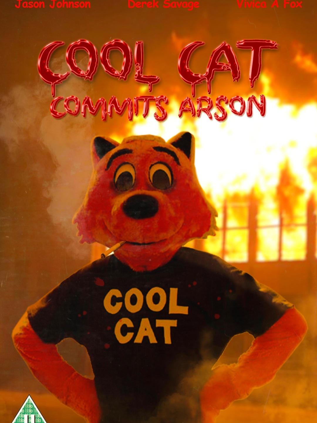 Cool cat | Scrolller