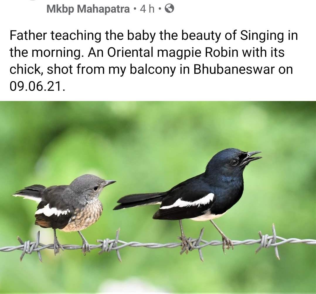 Cool dad passing on his talent to the youngling ! Credit - Mkbp Mahapatra. | Scrolller