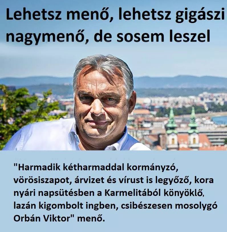 Cool kid | Scrolller