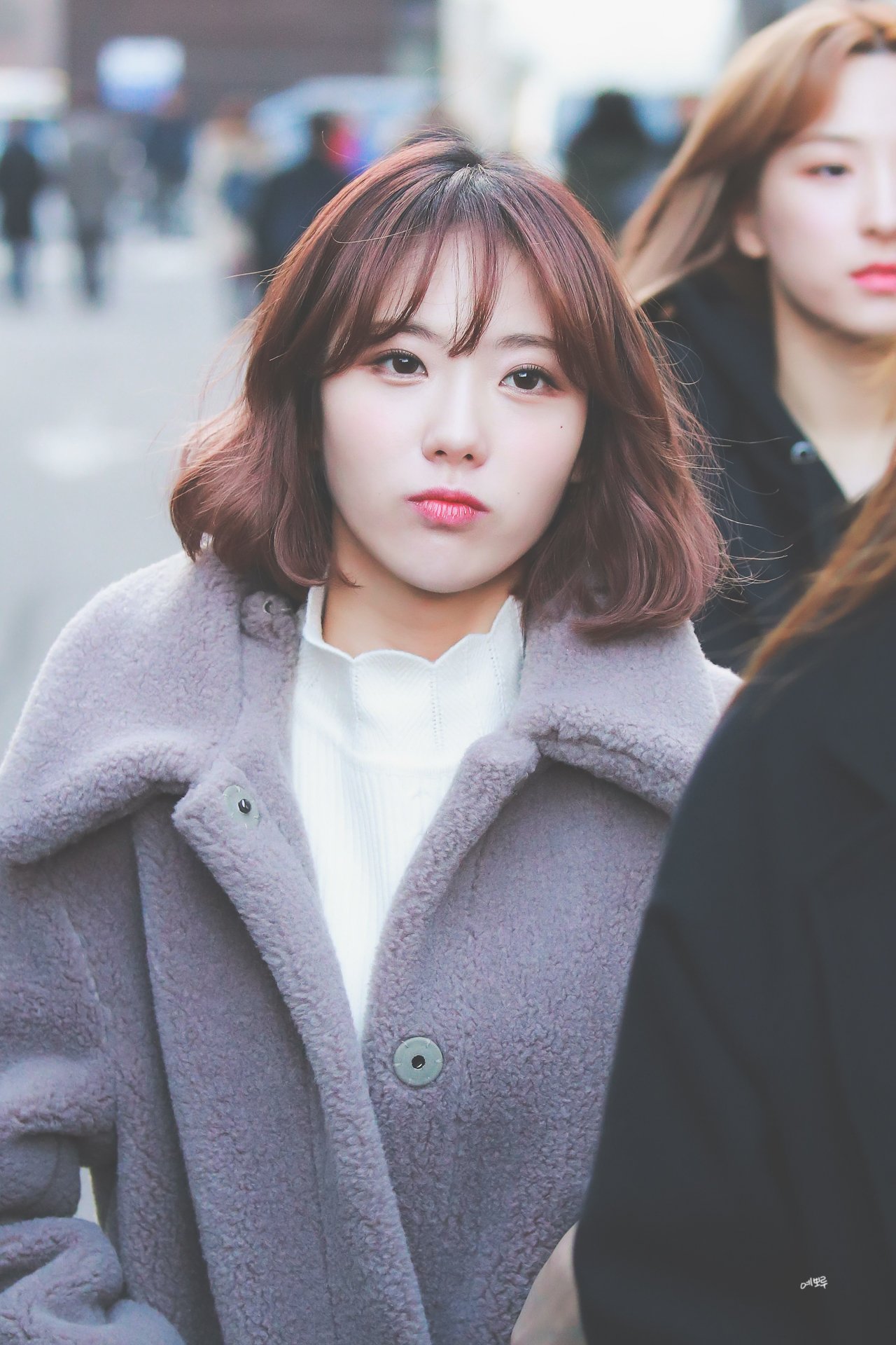 Cool Luda | Scrolller