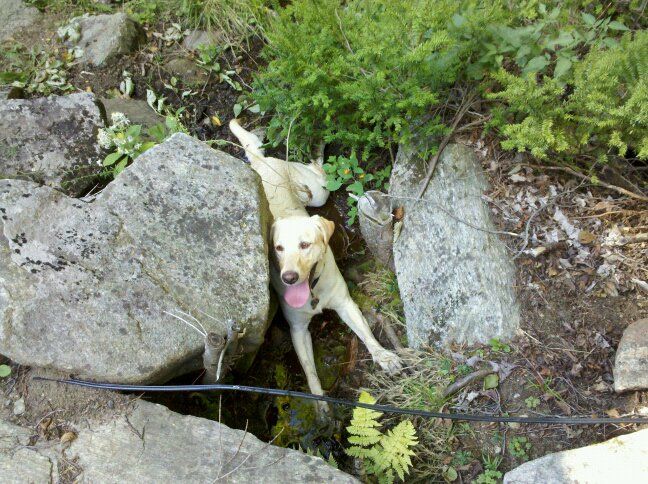 Cooling Down | Scrolller