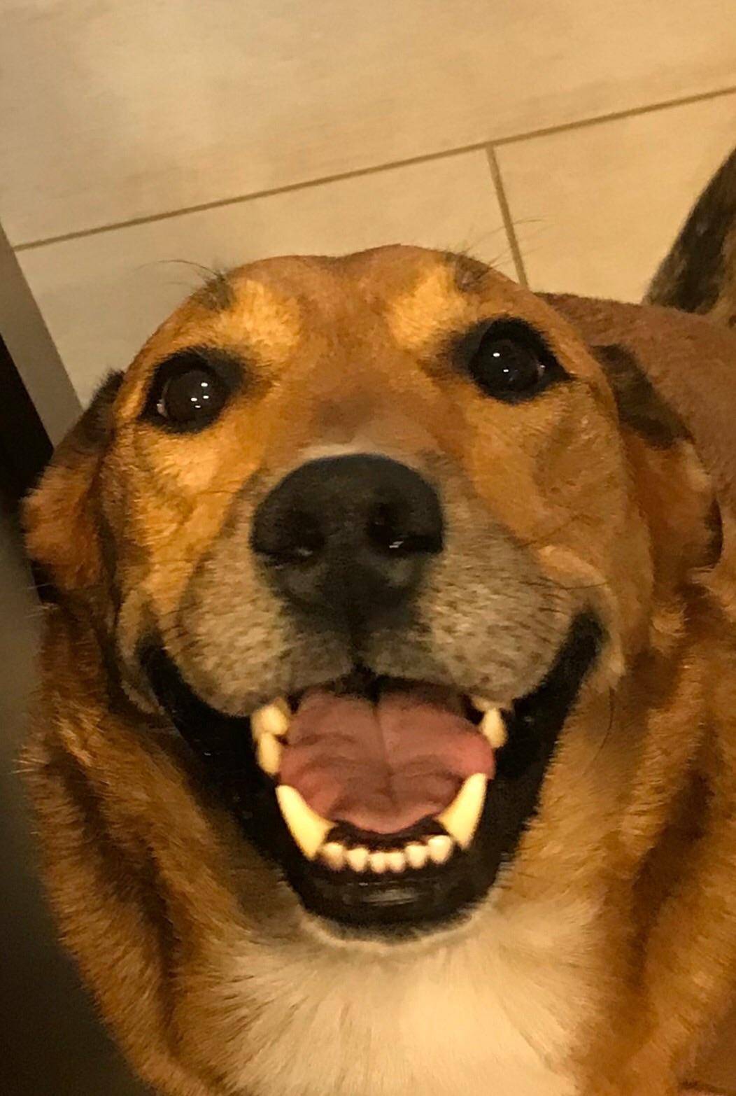 Cosmo believes in you! | Scrolller