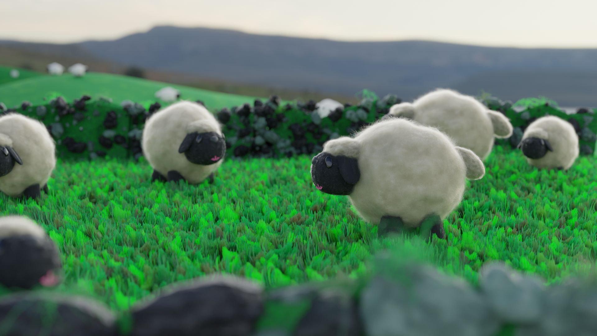 Cotton Ball Sheep [1920x1080] | Scrolller