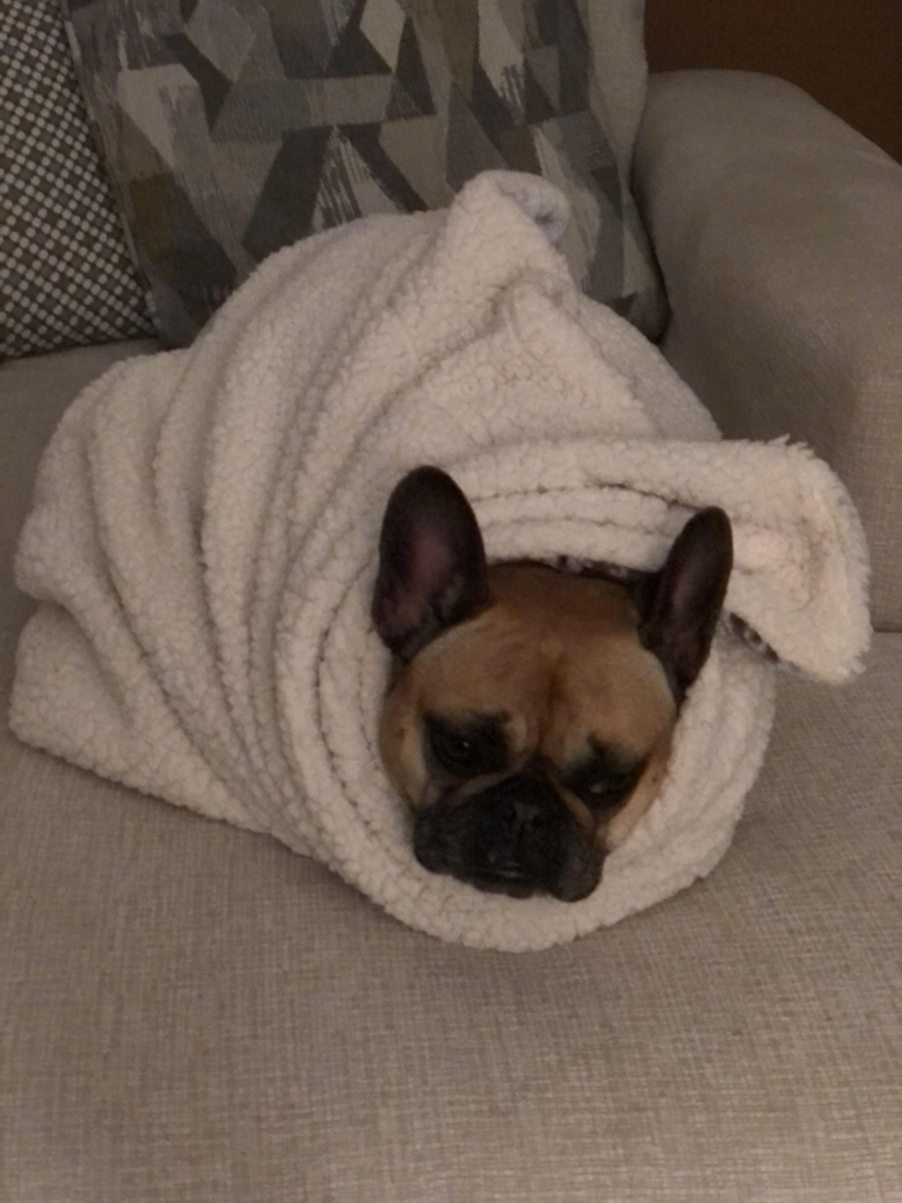 Couch loaf | Scrolller