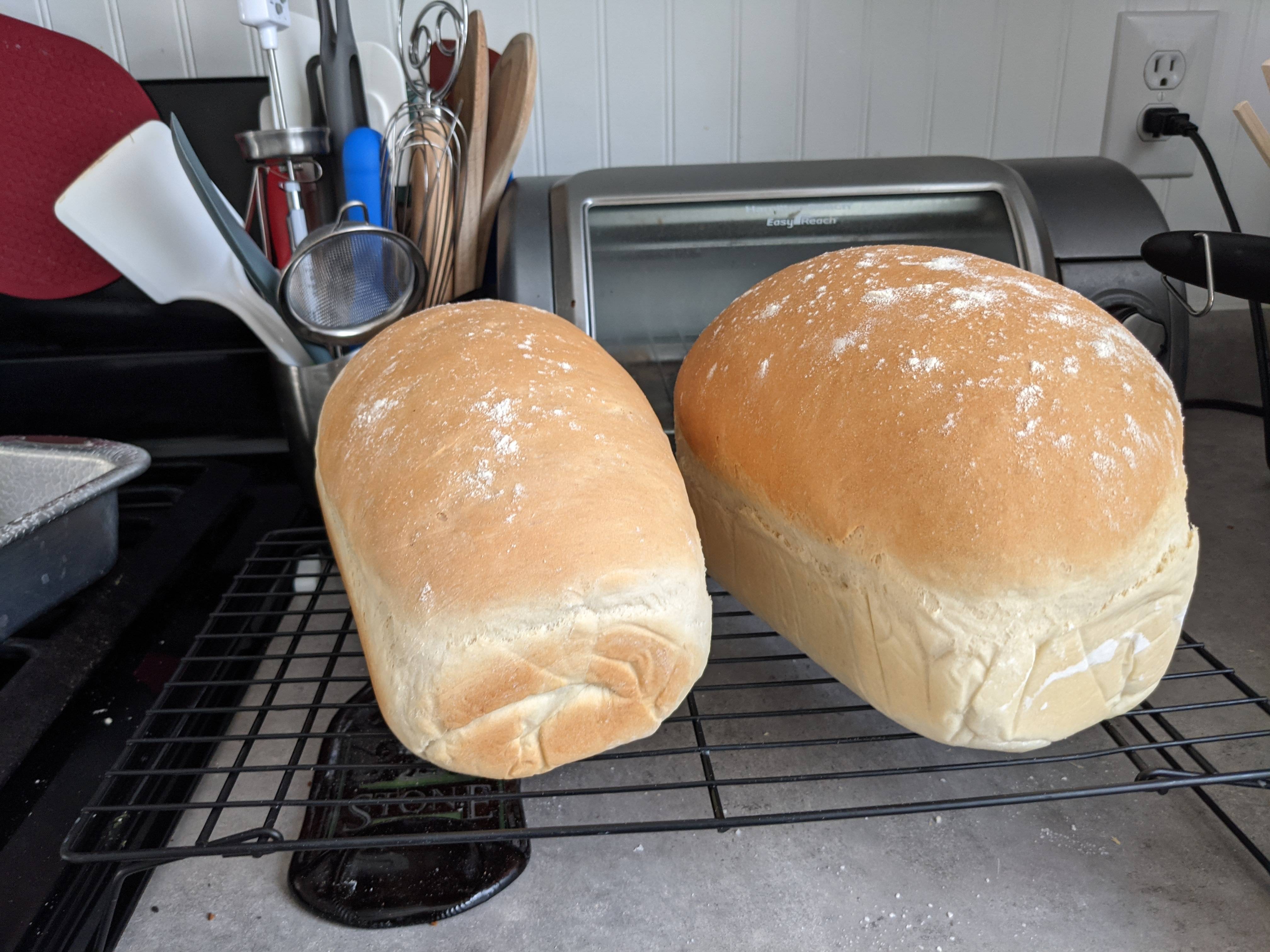 Couple of white sandwich loaves | Scrolller