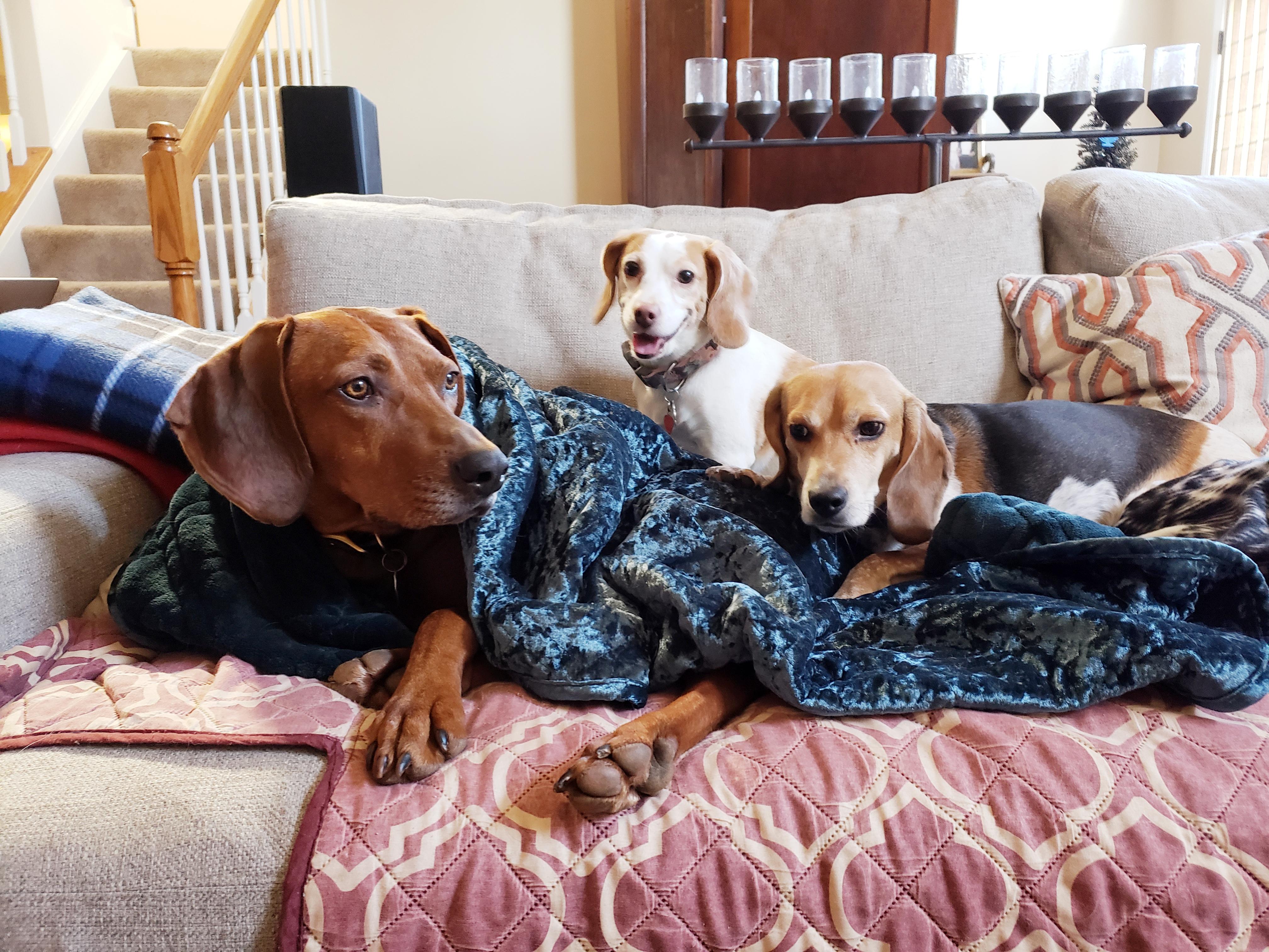 Cousins, contemplating life together | Scrolller