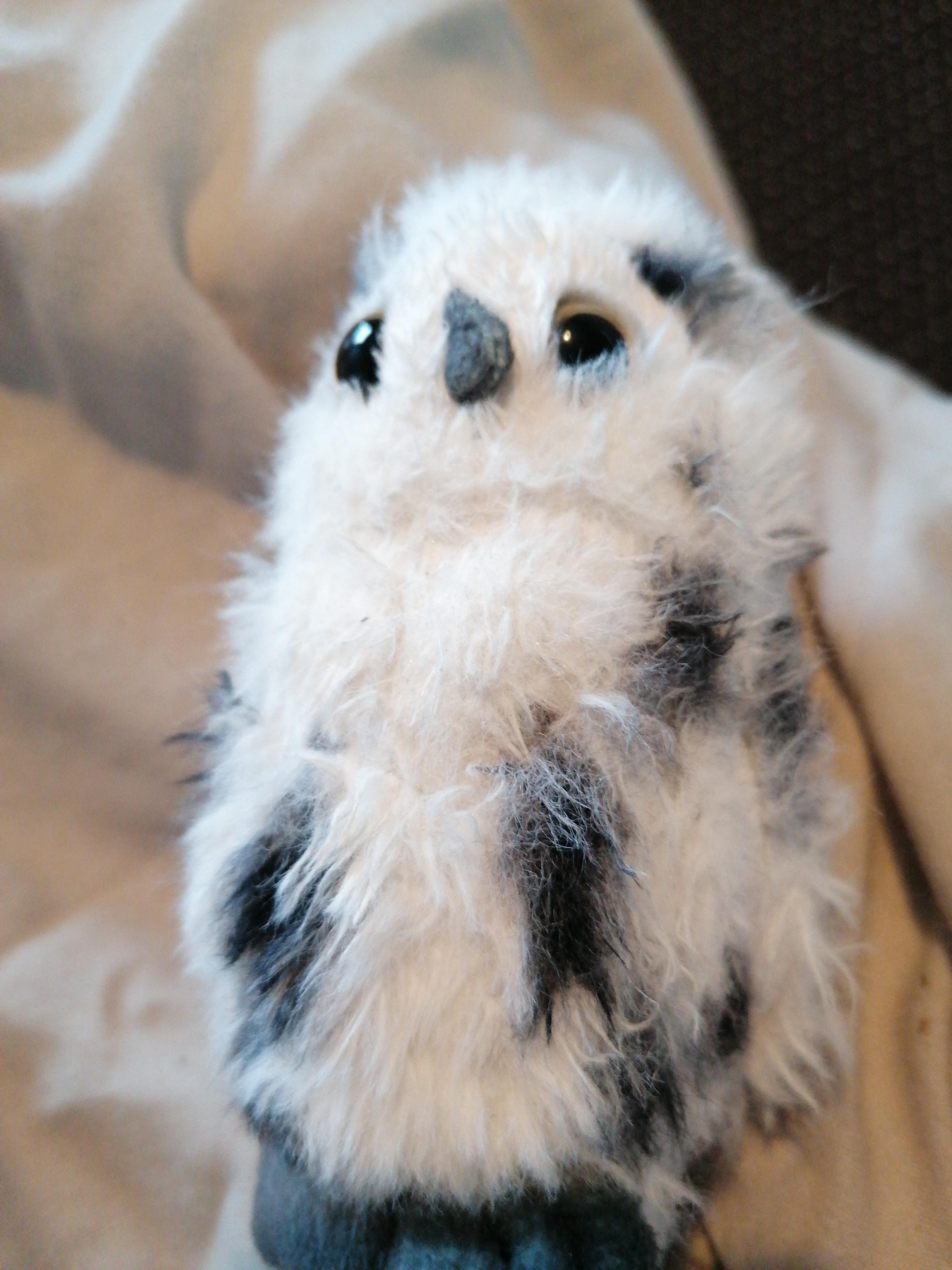 Covered this guy in a good few loads | Scrolller