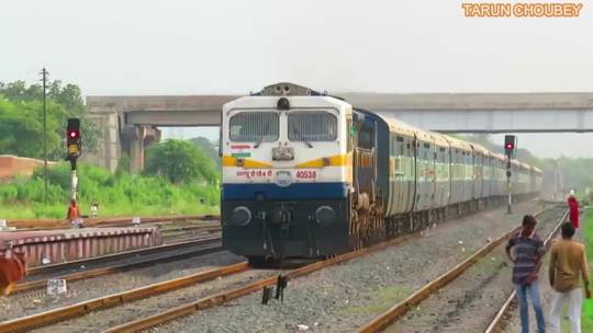 cow being obliterated by train | Scrolller