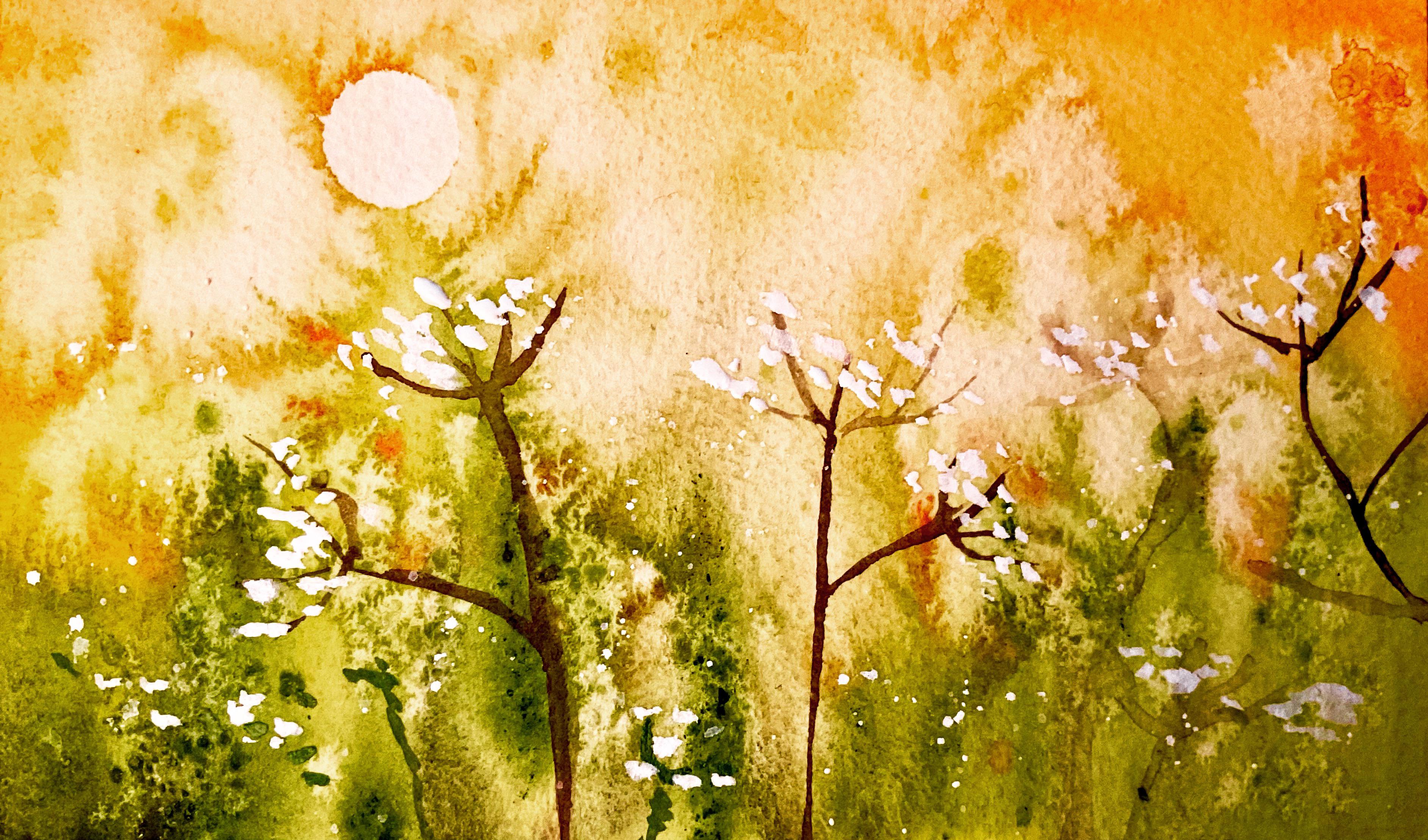 Cow Parsley. Schminke Horadam on Arches CP. | Scrolller