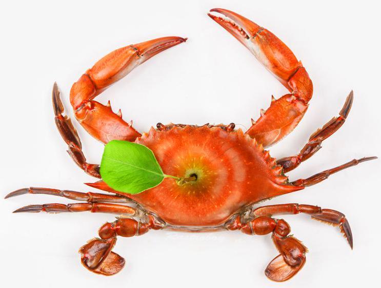 Crabapple | Scrolller