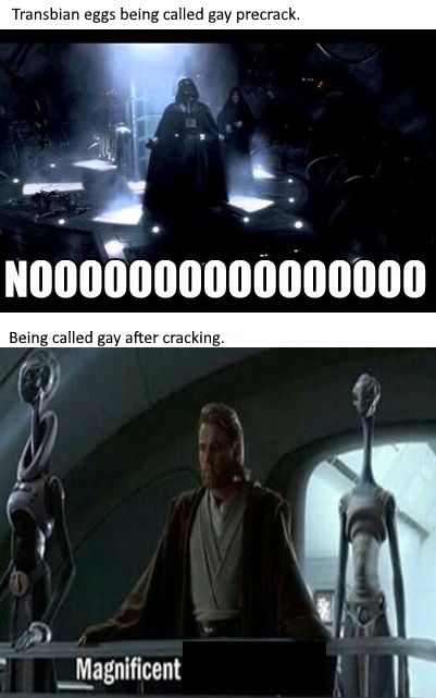 Cracking makes all the difference | Scrolller