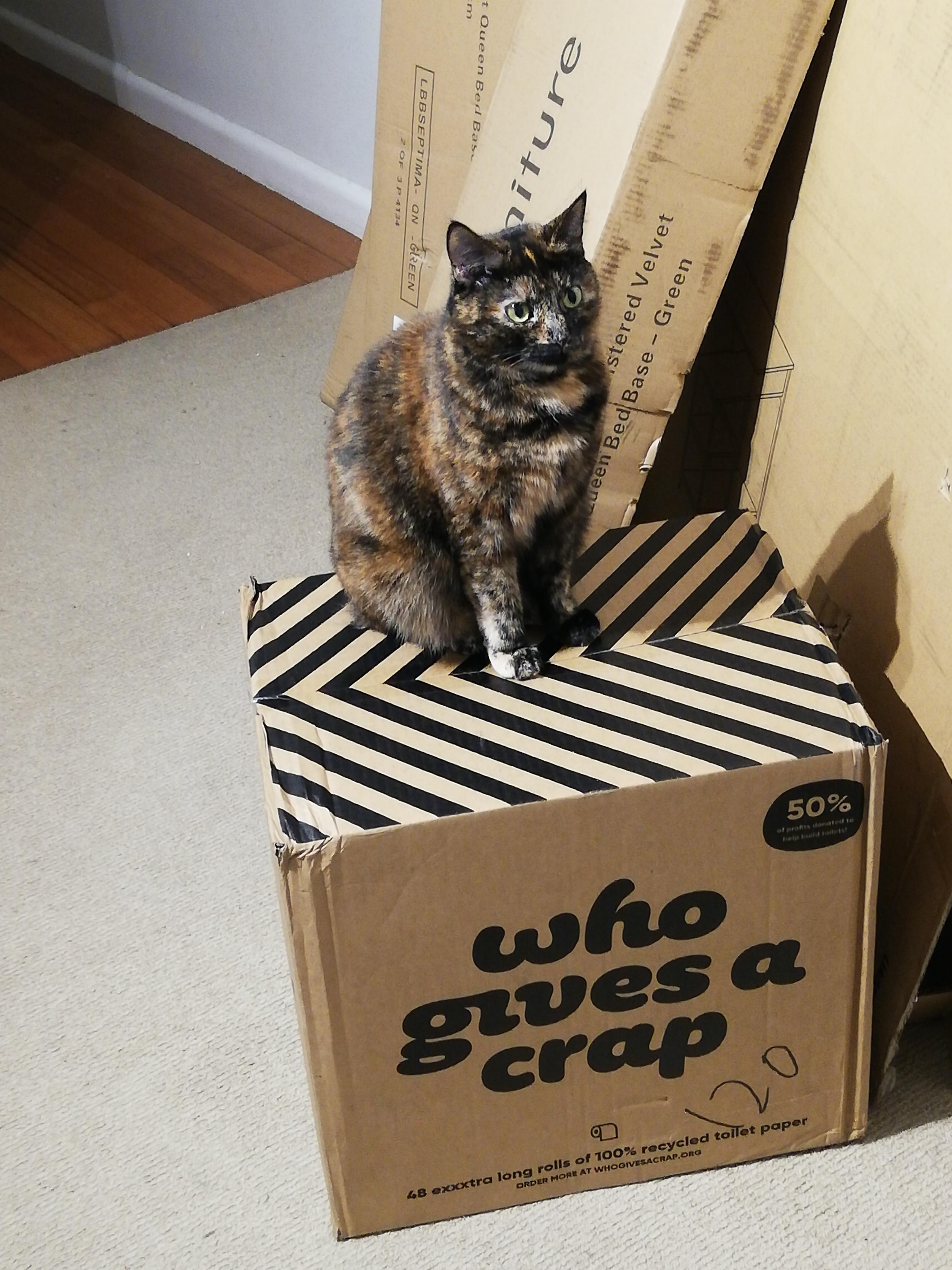 Crap Trap?! | Scrolller