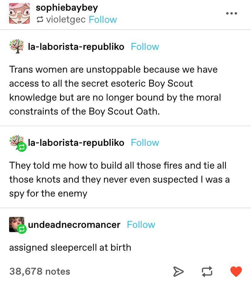 (Creative title here) | Scrolller