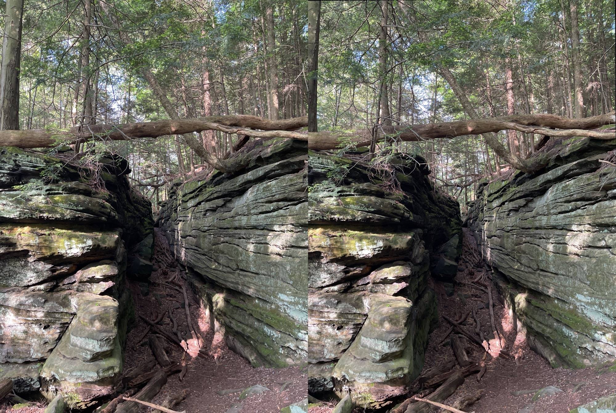 Crevice in the stone [OC] | Scrolller