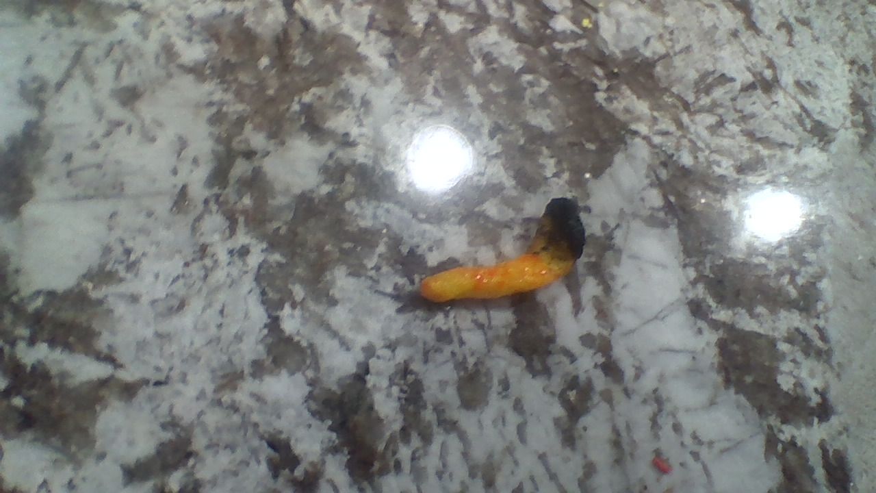 Crispy Cheeto REPOST | Scrolller