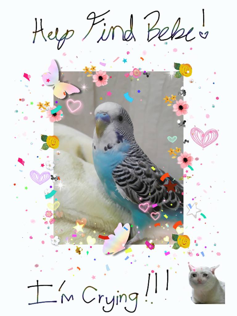 Cross post for visibility | Scrolller