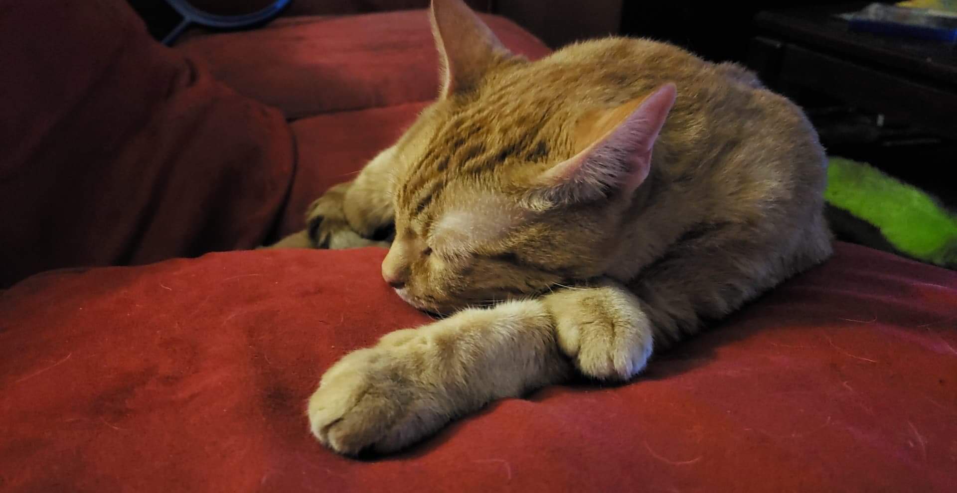 Crossed Feetsies | Scrolller