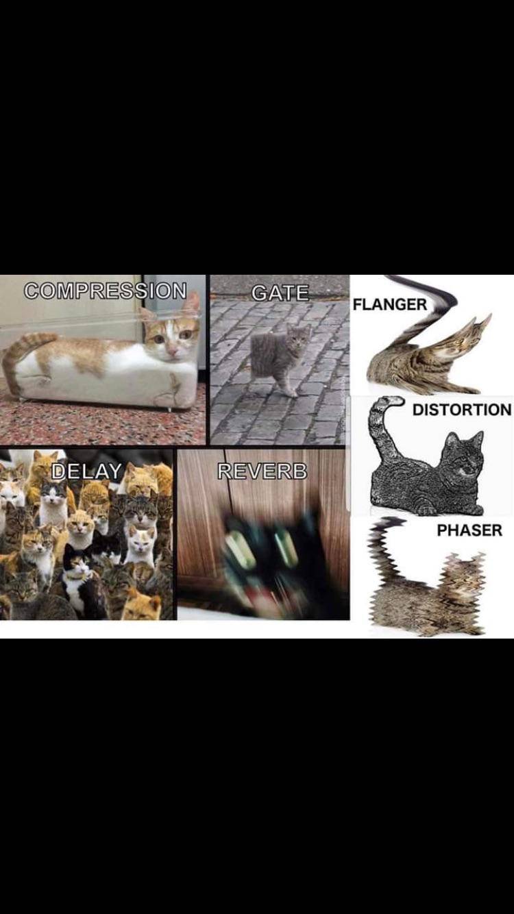 [Crosspost] its too funny | Scrolller