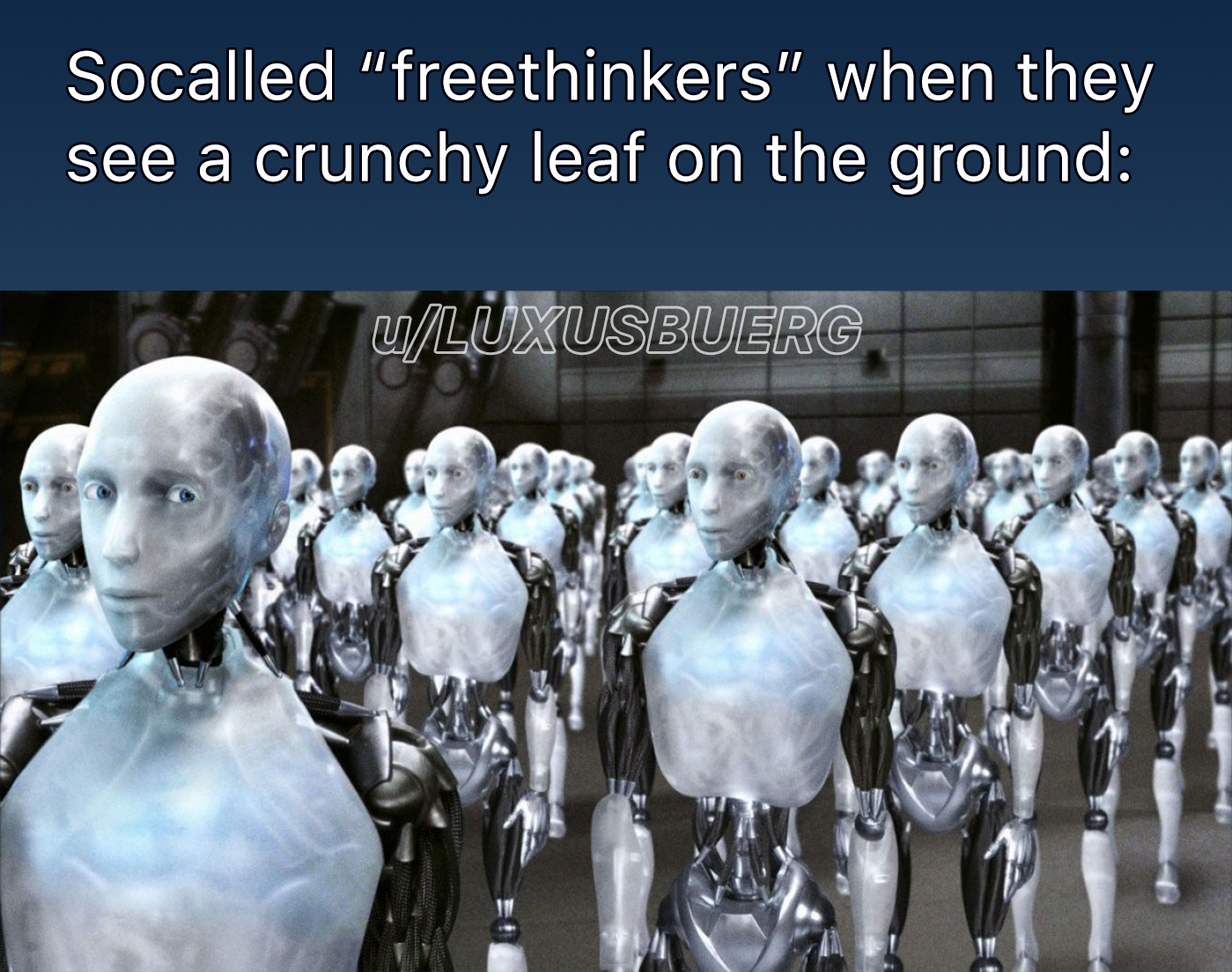 Crunchy leaf > sheeple :P | Scrolller