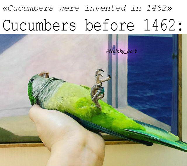 Cucumbers be like | Scrolller