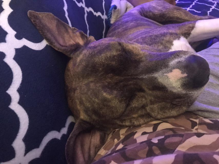 Cuddle squish | Scrolller