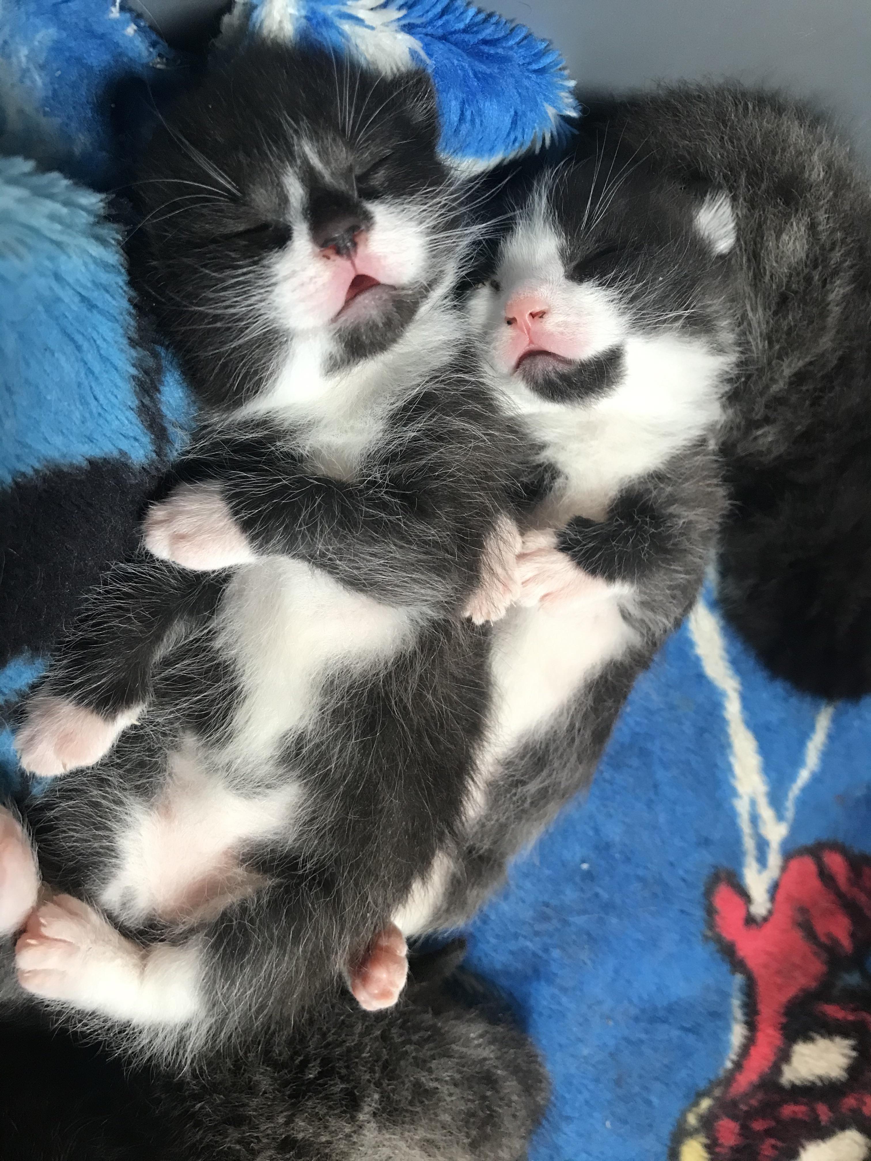 Cuddle time | Scrolller