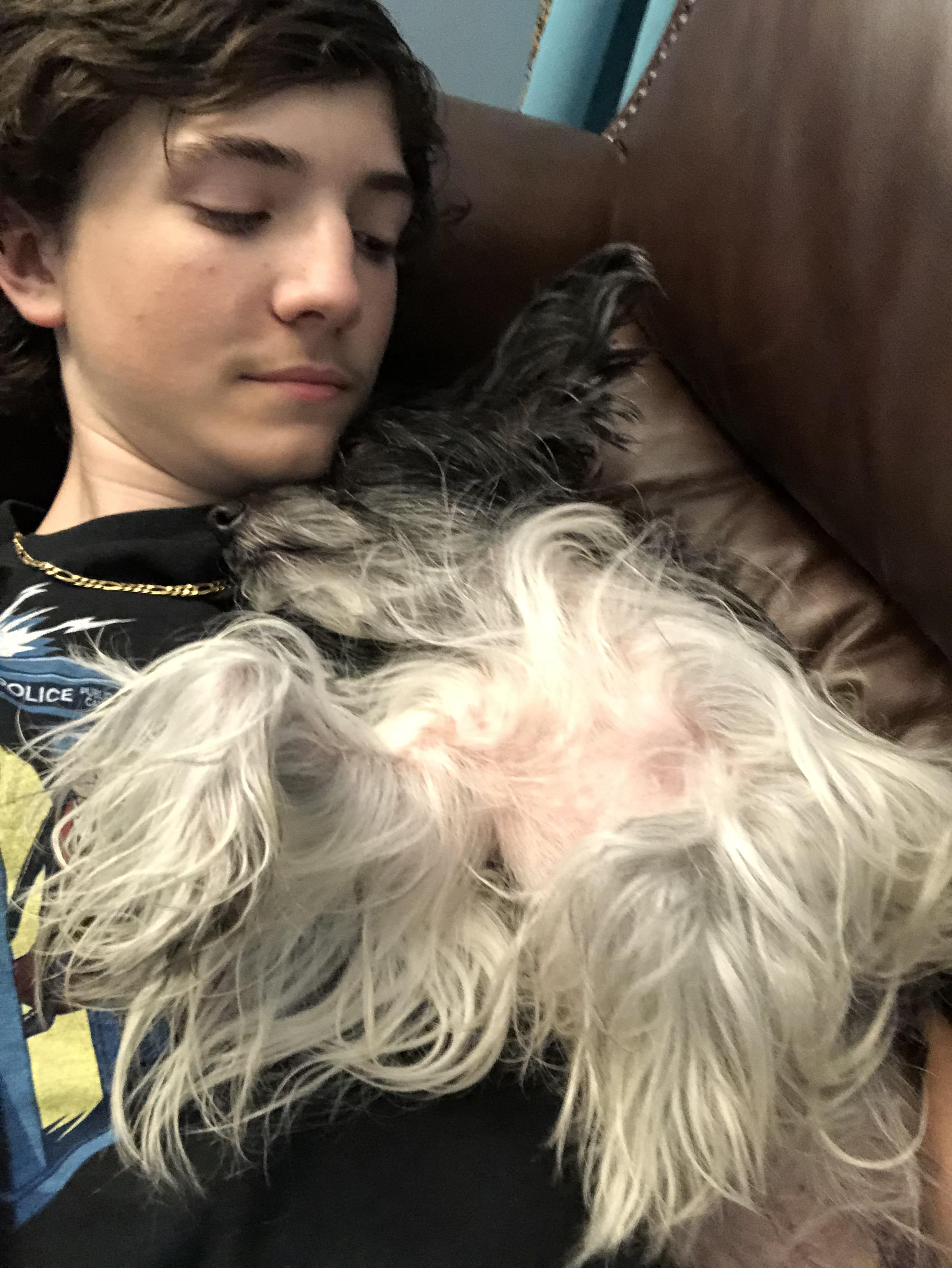 cuddling with dog | Scrolller