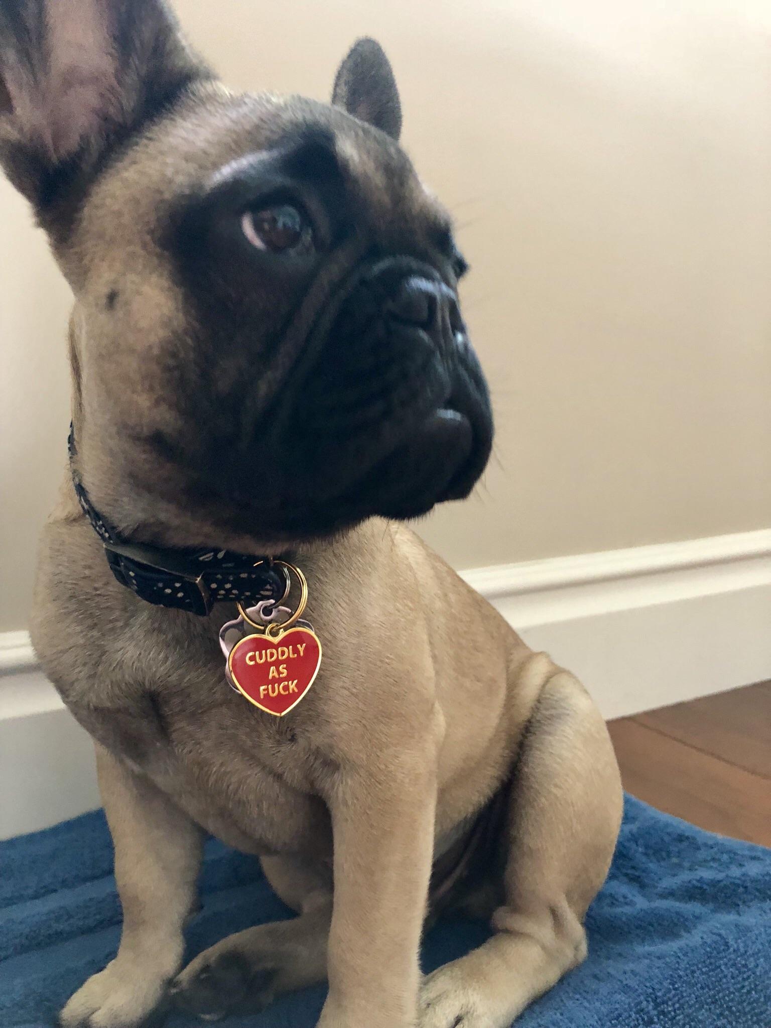 cuddly AF | Scrolller