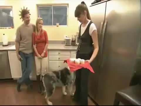 Cupcake Revelation | Scrolller