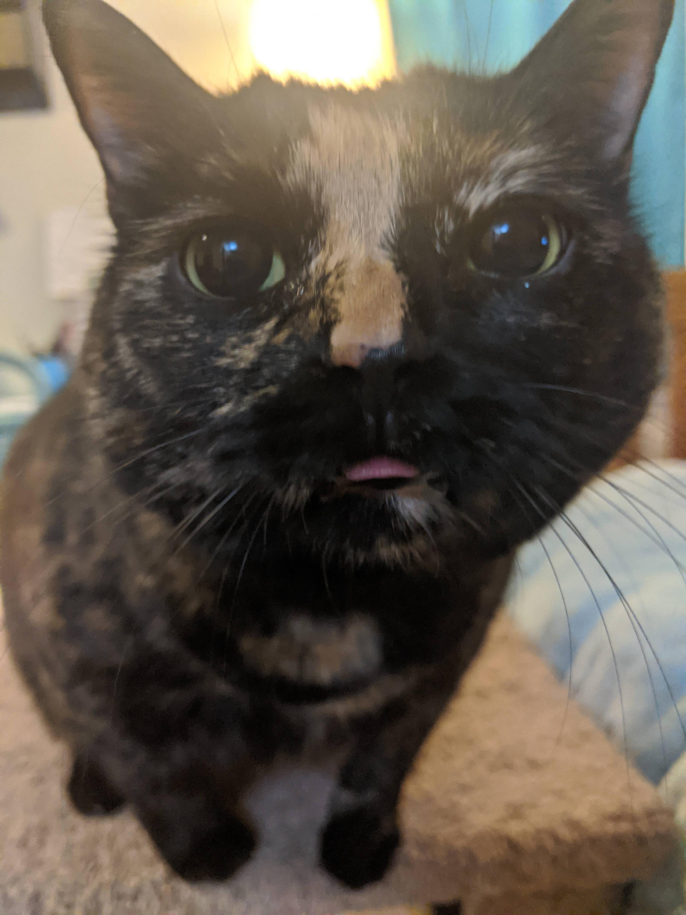 Curious mlep | Scrolller