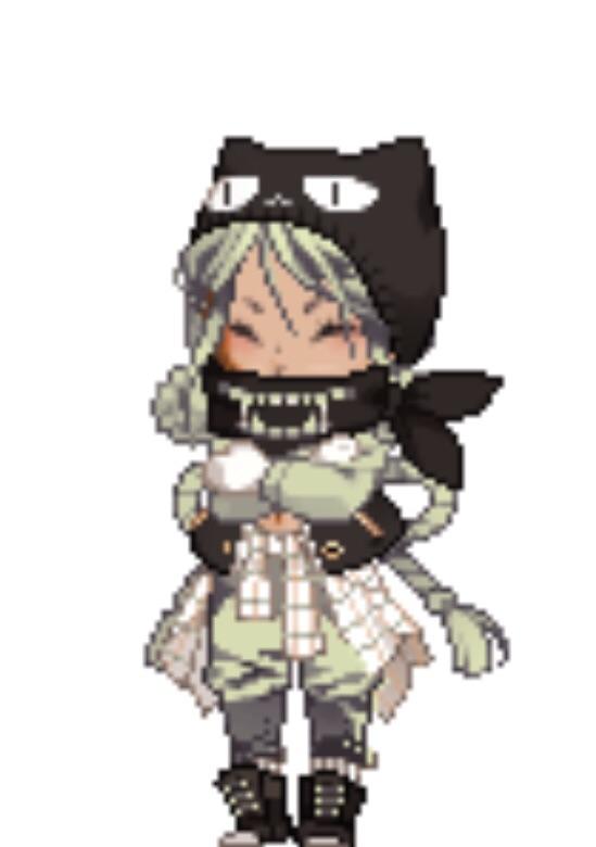 Curious Roamer Marshall | Scrolller