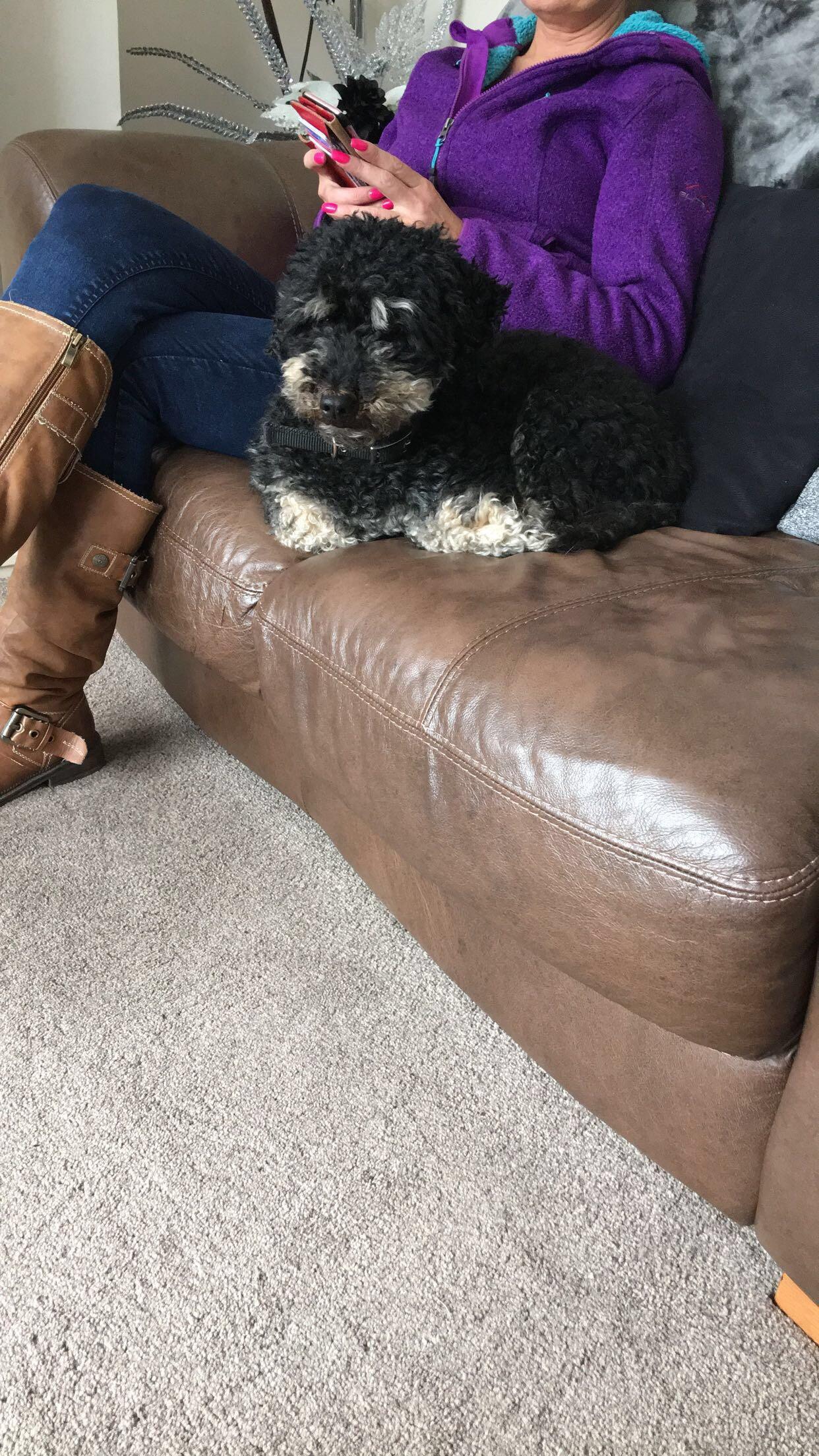 Curly small loaf | Scrolller