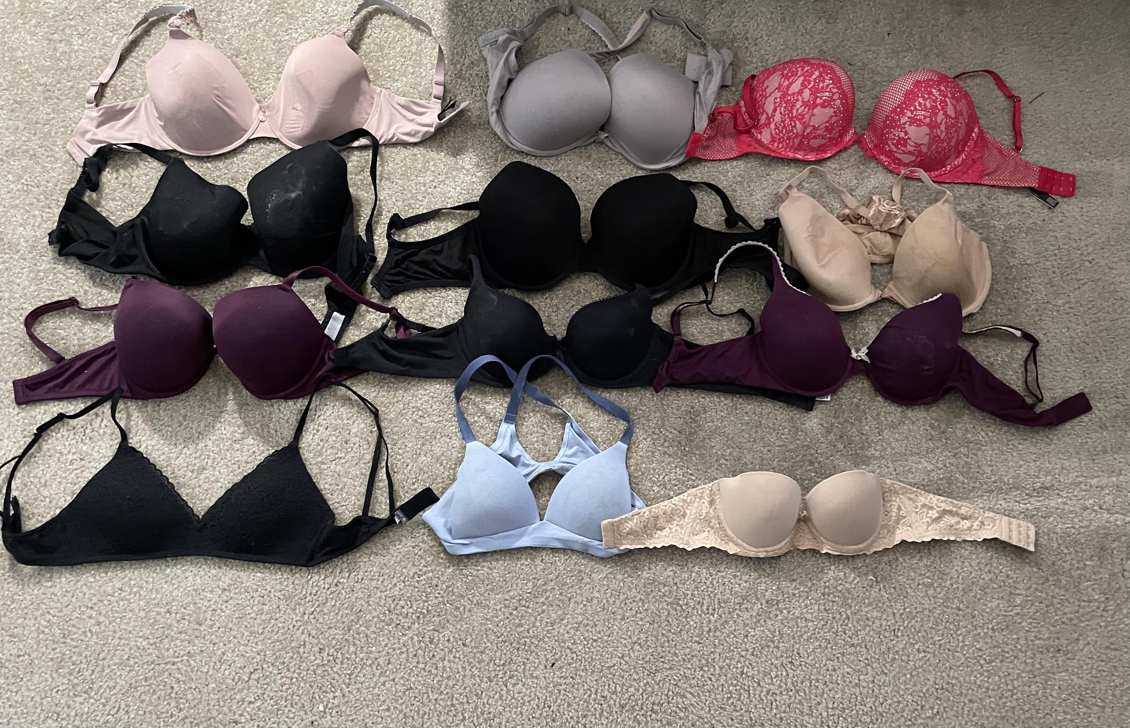 Current collection, dm me to see some pics of the owners and sizes | Scrolller