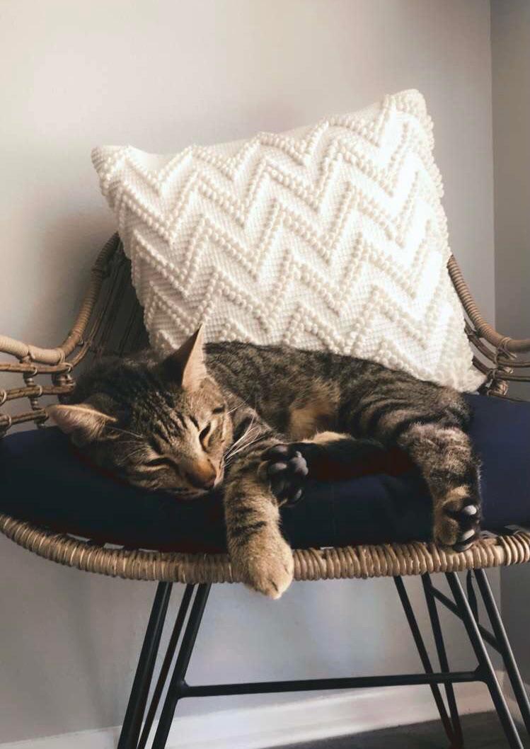 Current mood | Scrolller