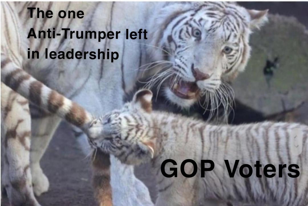 Current state of the GOP | Scrolller